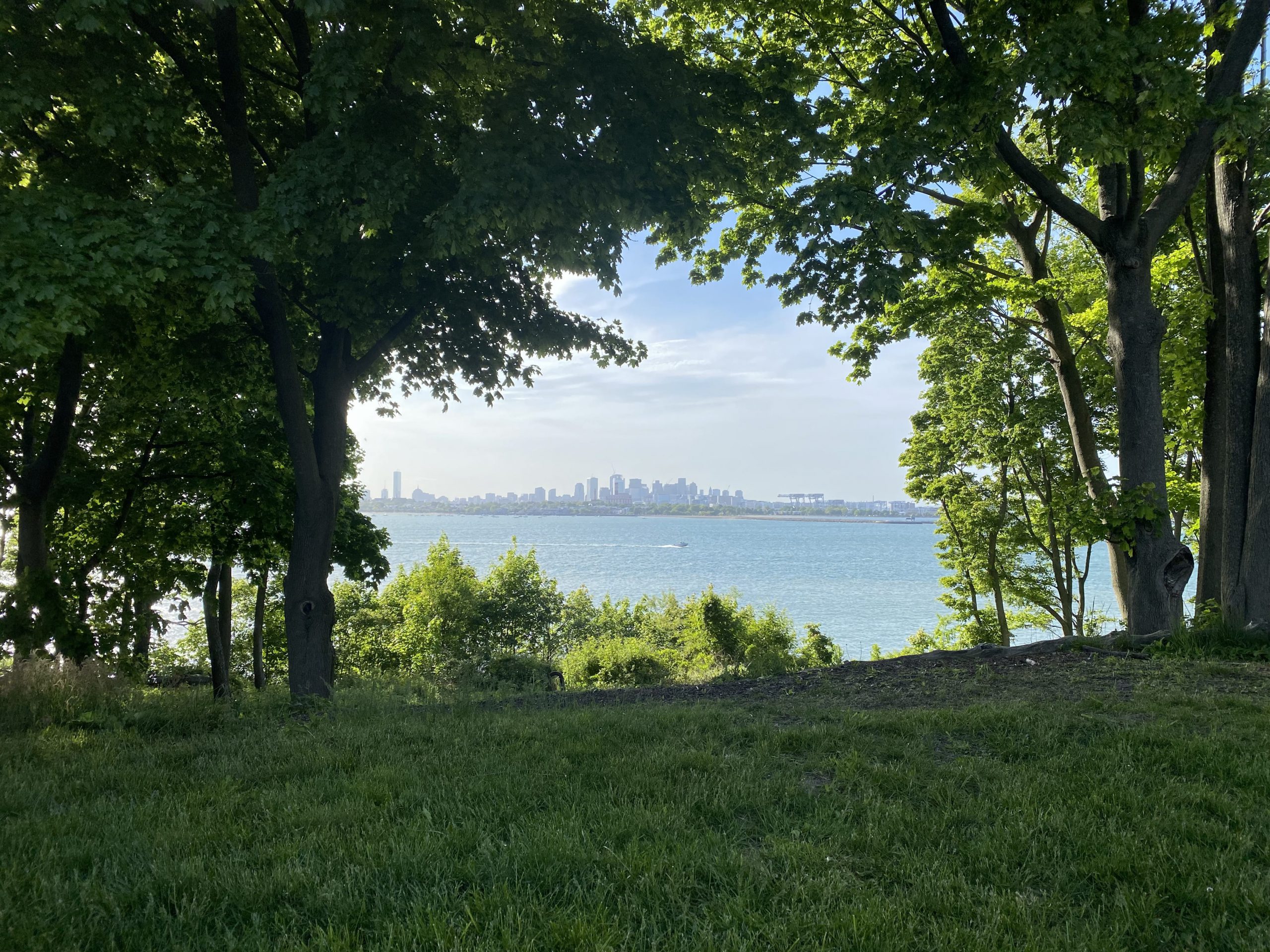 Thompson Island 4K Trail Run 2022 - JDL Corporate Interiors